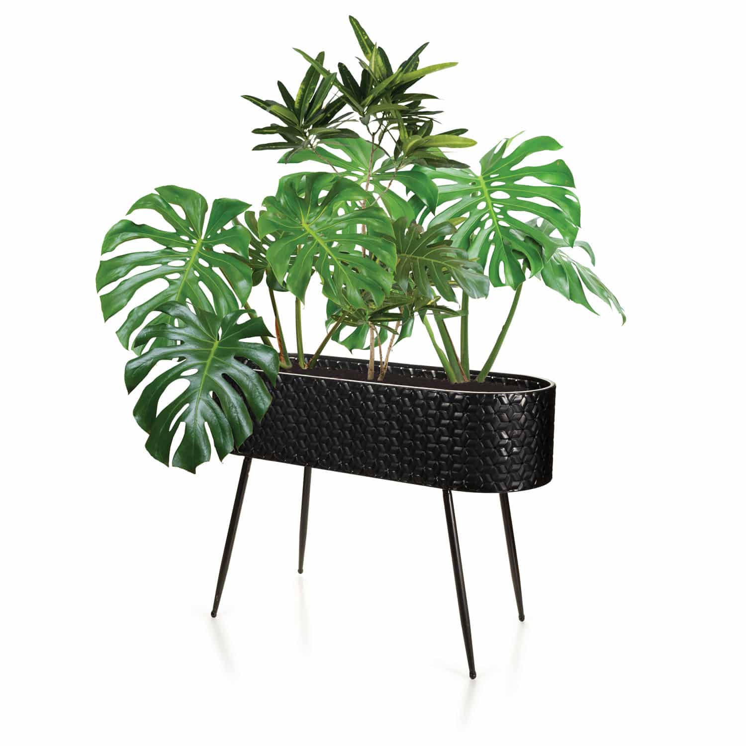 Luxe Trough on Legs - Takasho Australia