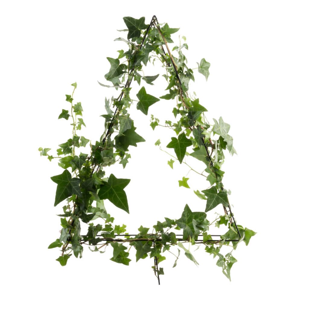 Topiary Frame - Triangle 35cm - Black - Takasho Australia