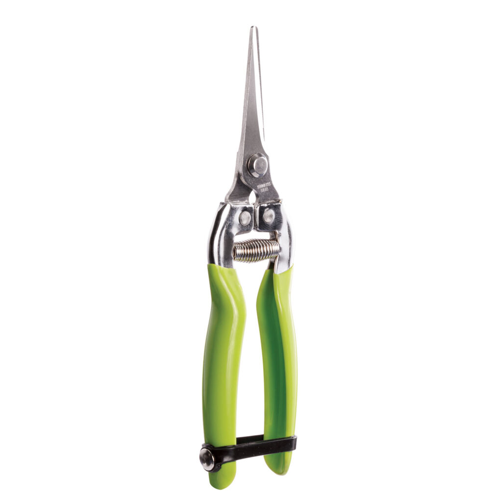 Pruning Snips - 19cm - Takasho Australia